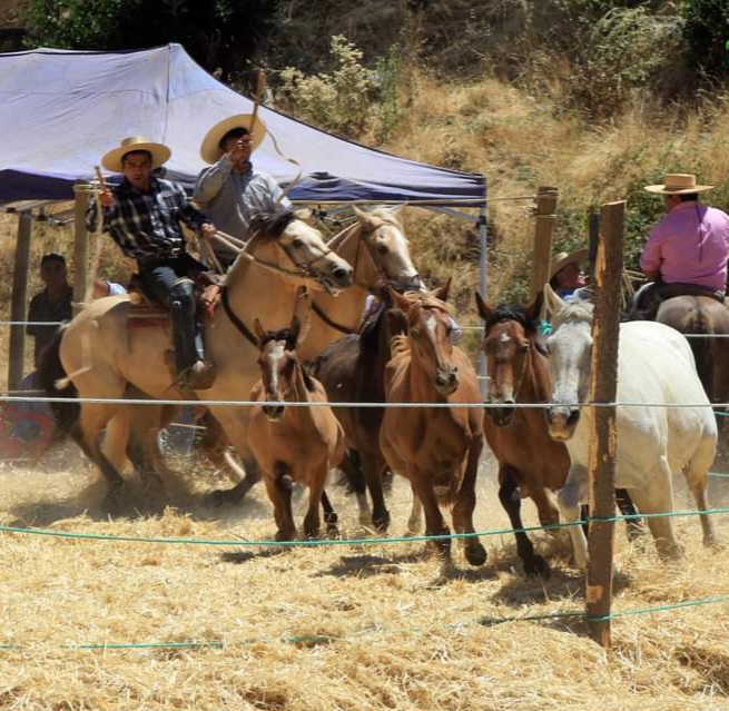 LA TRILLA, TRADICIONES DE MI TIERRA – Vitrina Deportiva